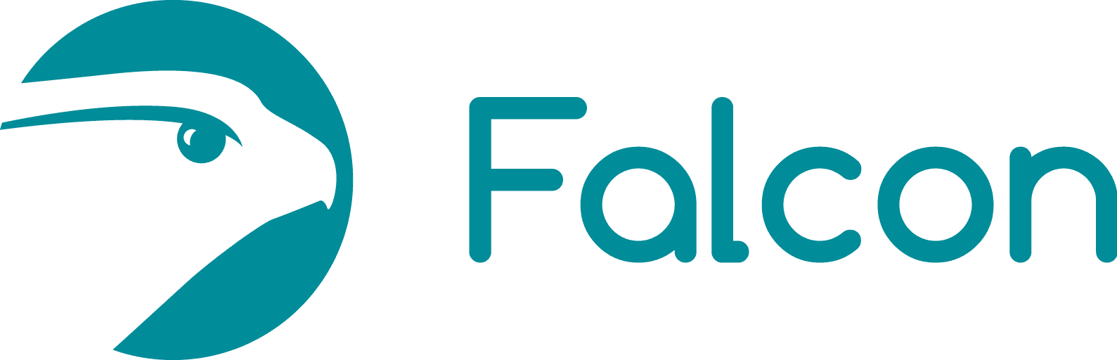 Meet the Sales Team | Falcon Property